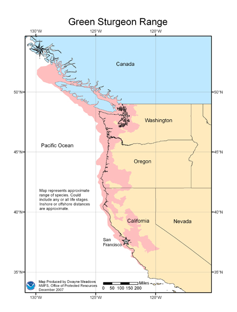 Legal Action Protects Green Sturgeon - Siskiyou Land Conservancy